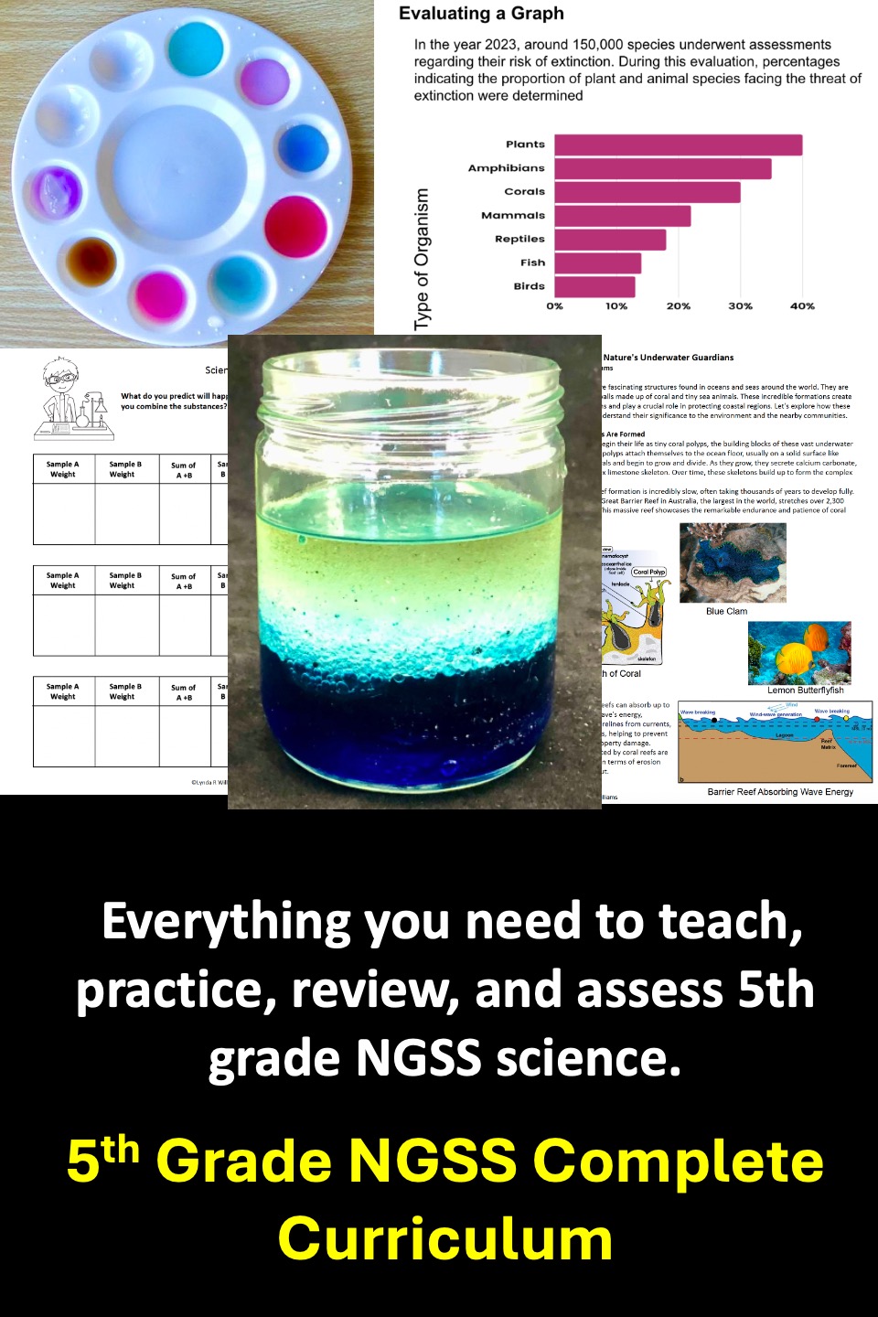 5th Grade NGSS Science Curriculum Bundle for the Full Year