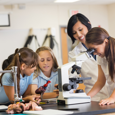 Understanding the Kindergarten NGSS Standards